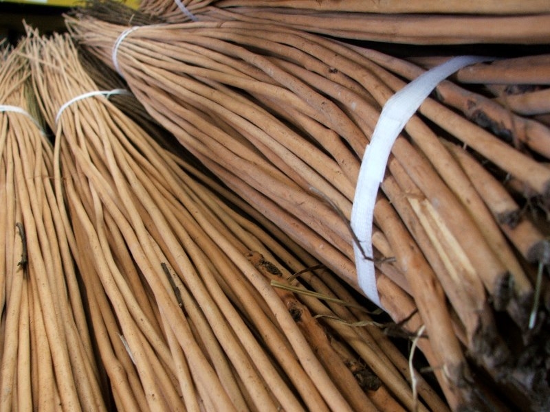 3 Colour Willow Withies - Seawhite of Brighton Ltd